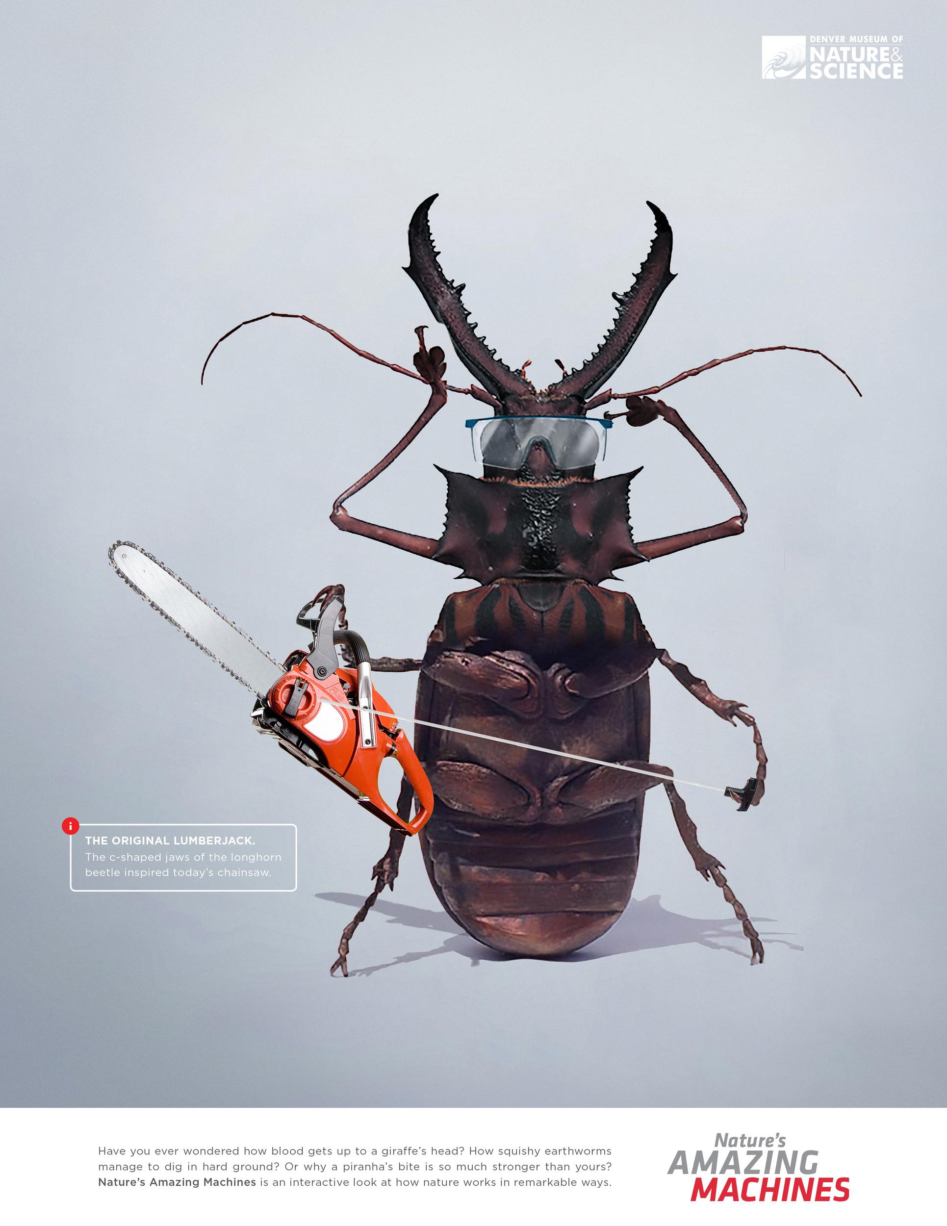 Nature's Amazing Machines - The Show MN Winners