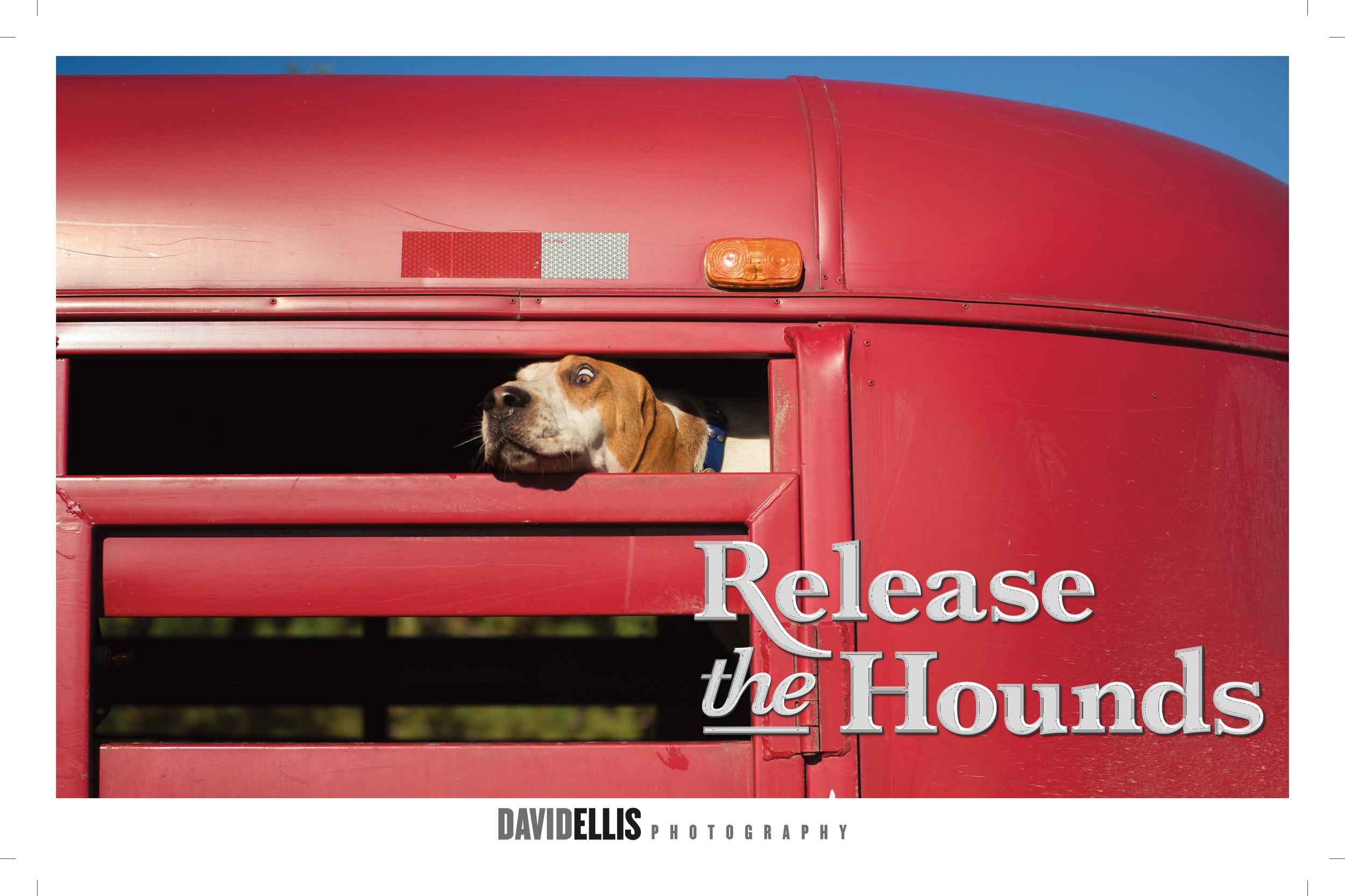 Release the Hounds - The Show MN Winners